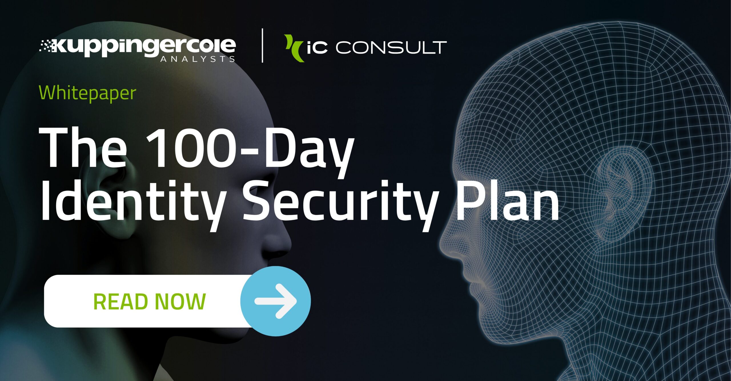 Whitepaper: The 100-Day Identity Security Plan